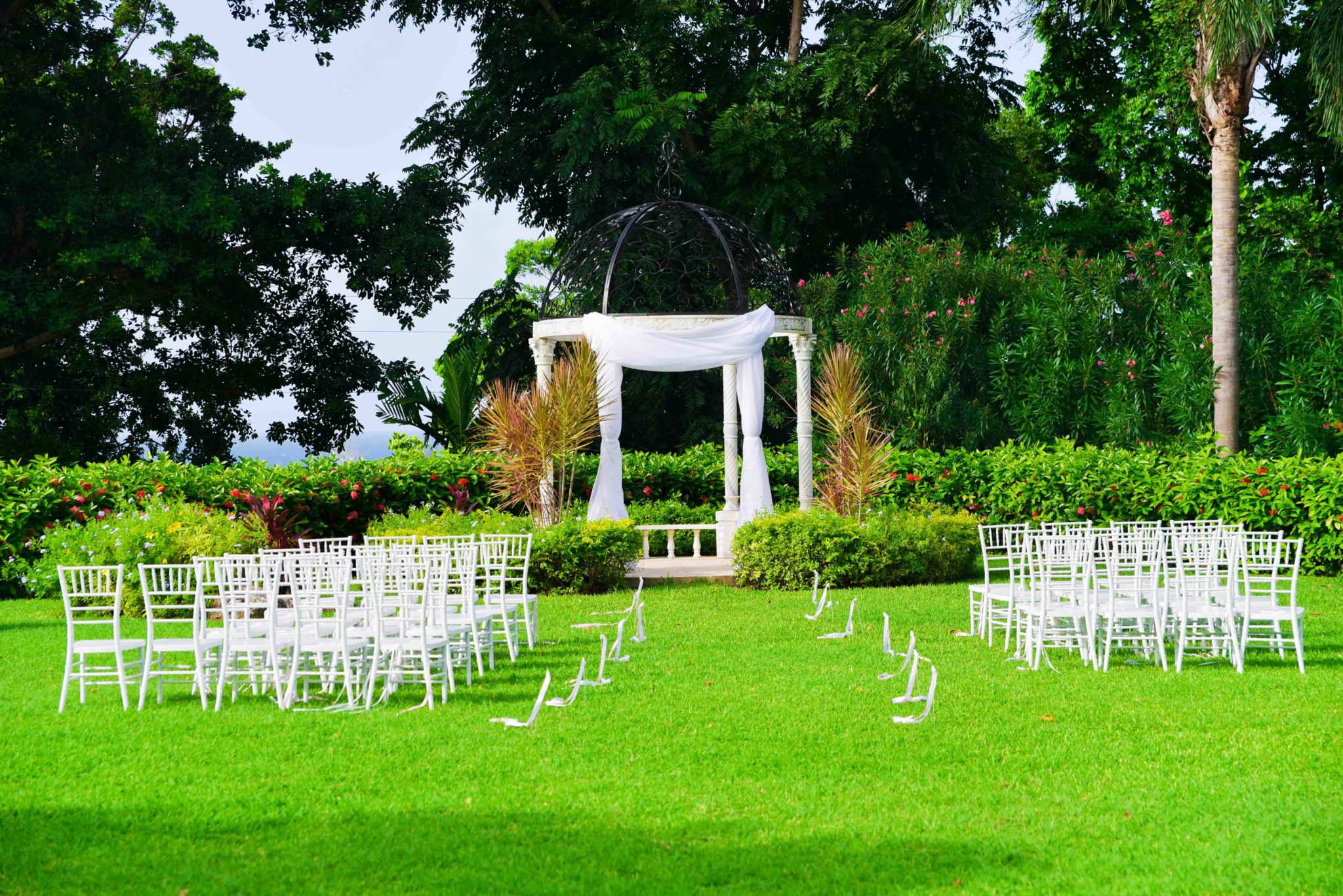 Jamaican Photographer- Jason Barnett Head Photographer